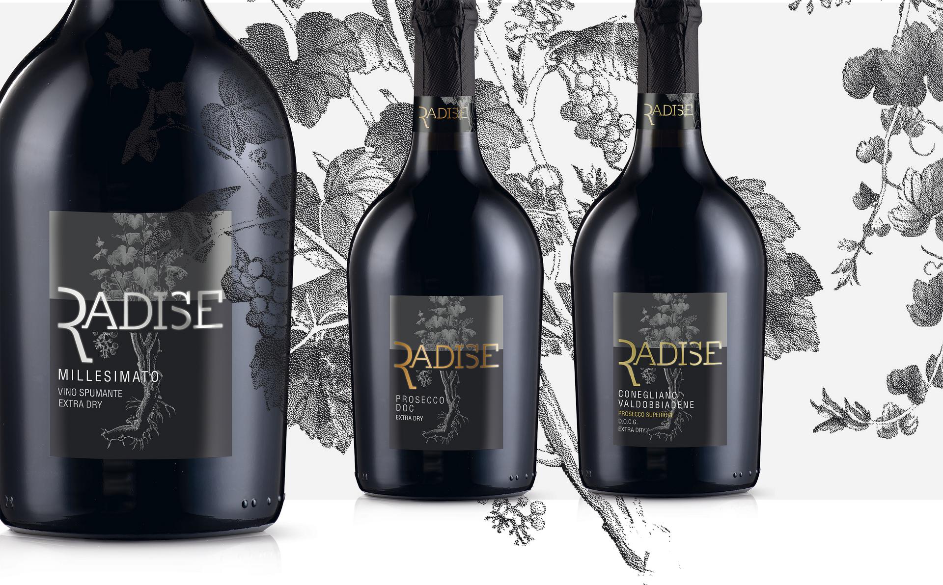 RADISE | Portfolio | agenzia di comunicazione | MARCANTONIO